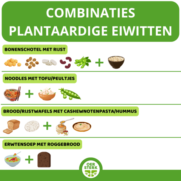 15 beste plantaardige eiwitten voor vegetariërs & veganisten - OERsterk.nu