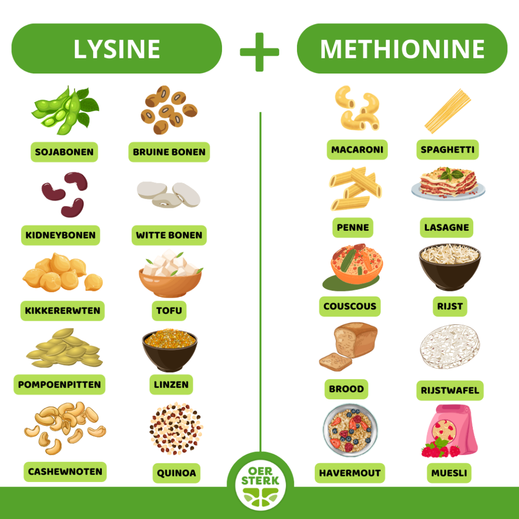 15 beste plantaardige eiwitten voor vegetariërs & veganisten - OERsterk.nu