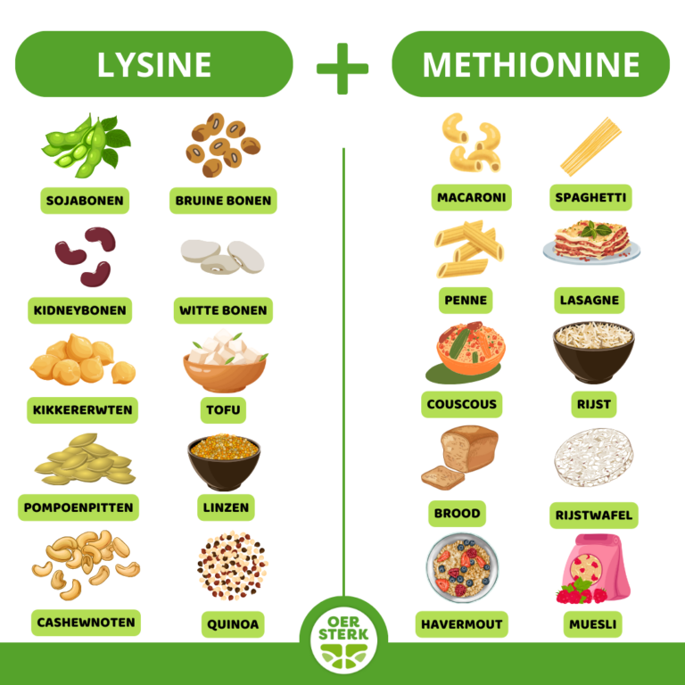 15 beste plantaardige eiwitten voor vegetariërs & veganisten - OERsterk.nu