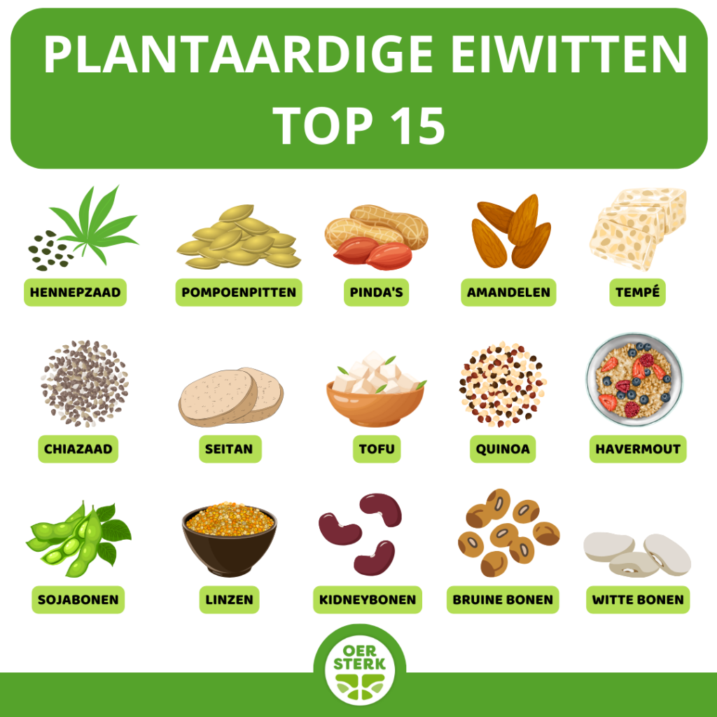 15 beste plantaardige eiwitten voor vegetariërs & veganisten - OERsterk.nu
