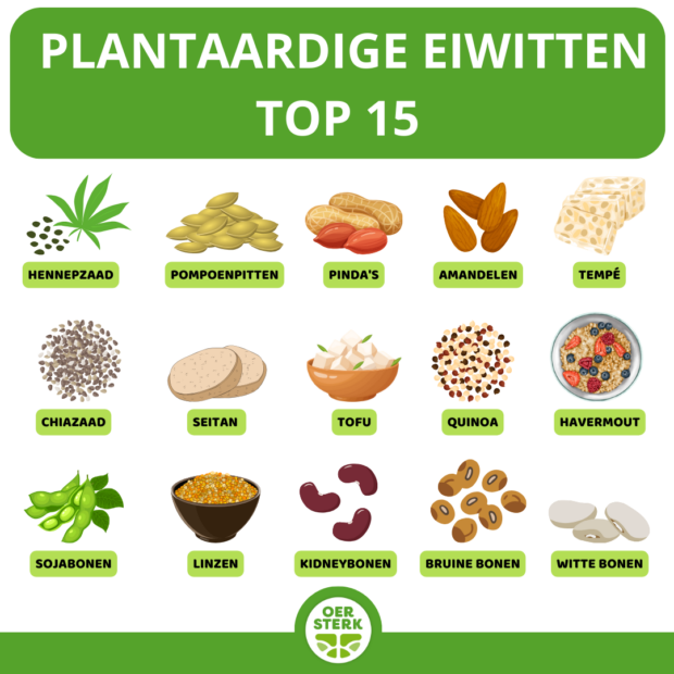 15 beste plantaardige eiwitten voor vegetariërs & veganisten - OERsterk.nu